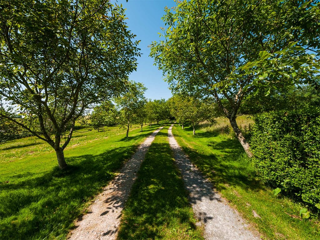 Crocadon Farmhouse, St Mellion | Holiday homes in Saltash & Torpoint
