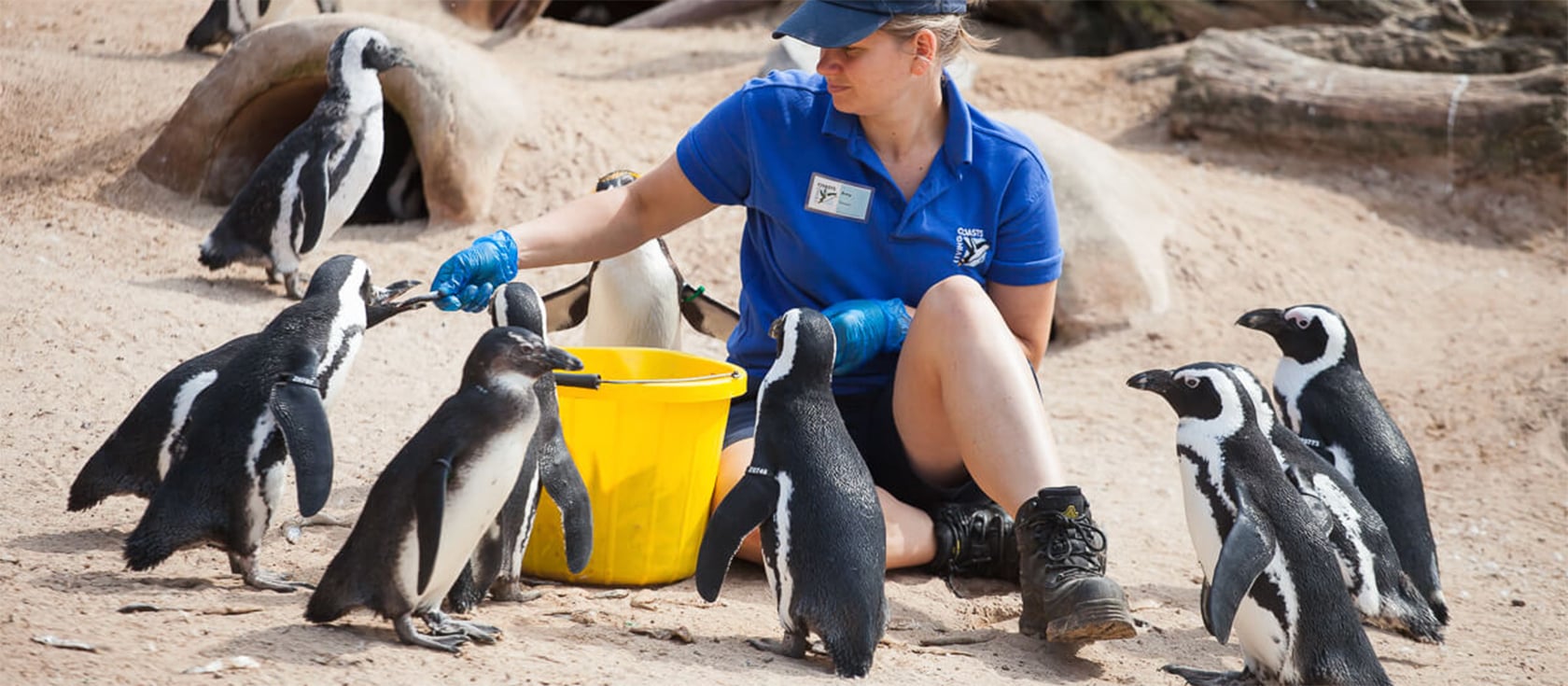 8 best animal attractions in Cornwall for families | Cornwall holiday