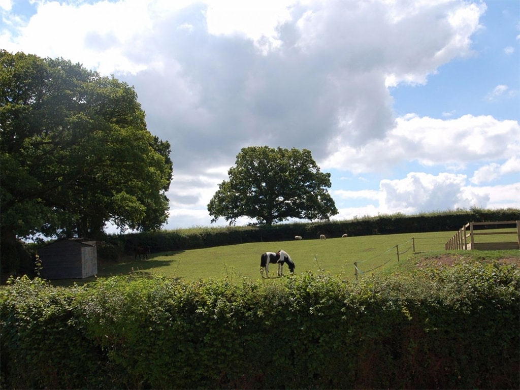 The Furrow, Tedburn St Mary | Holiday homes in Exeter